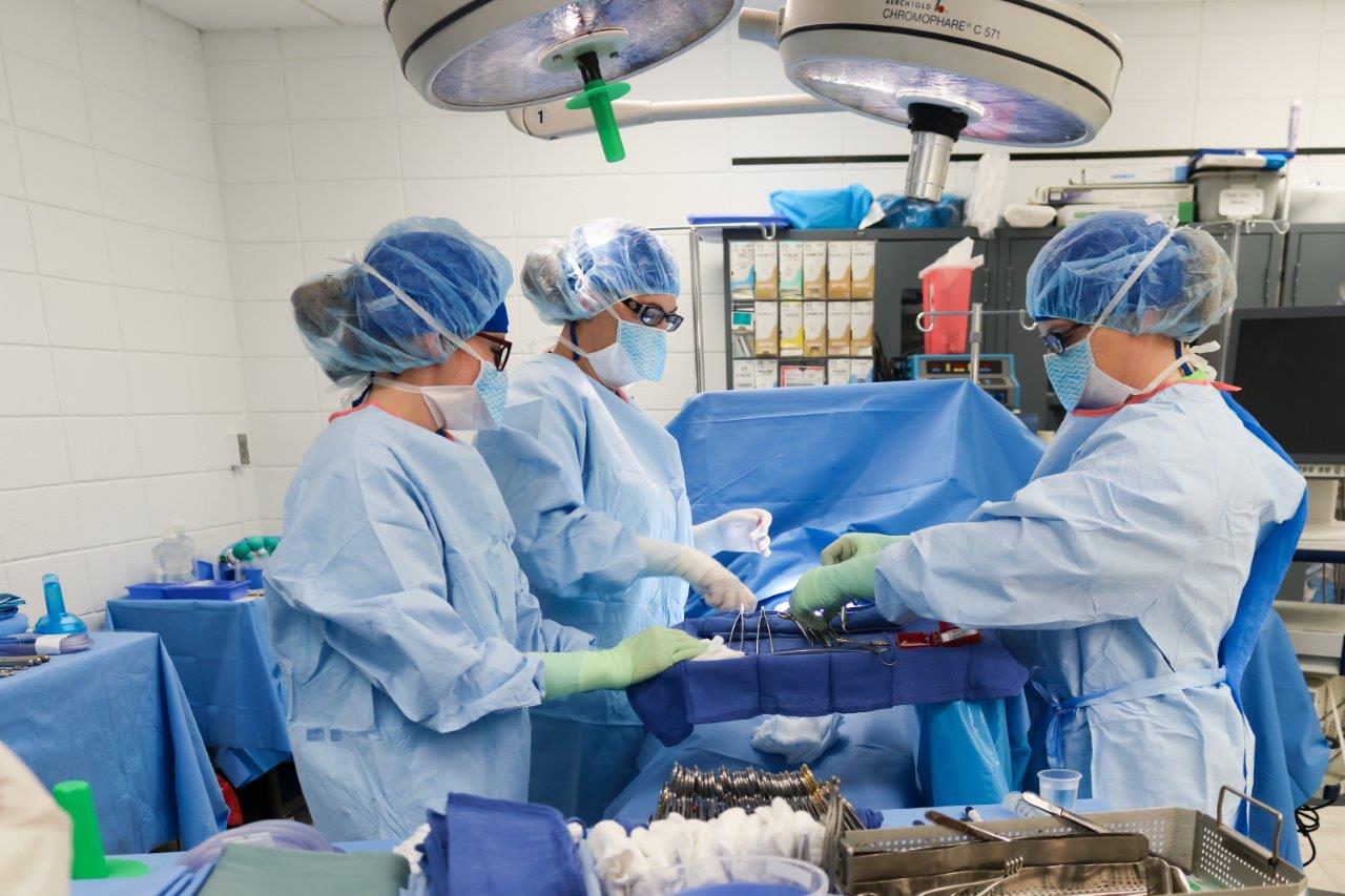 Surgical Technology | M State