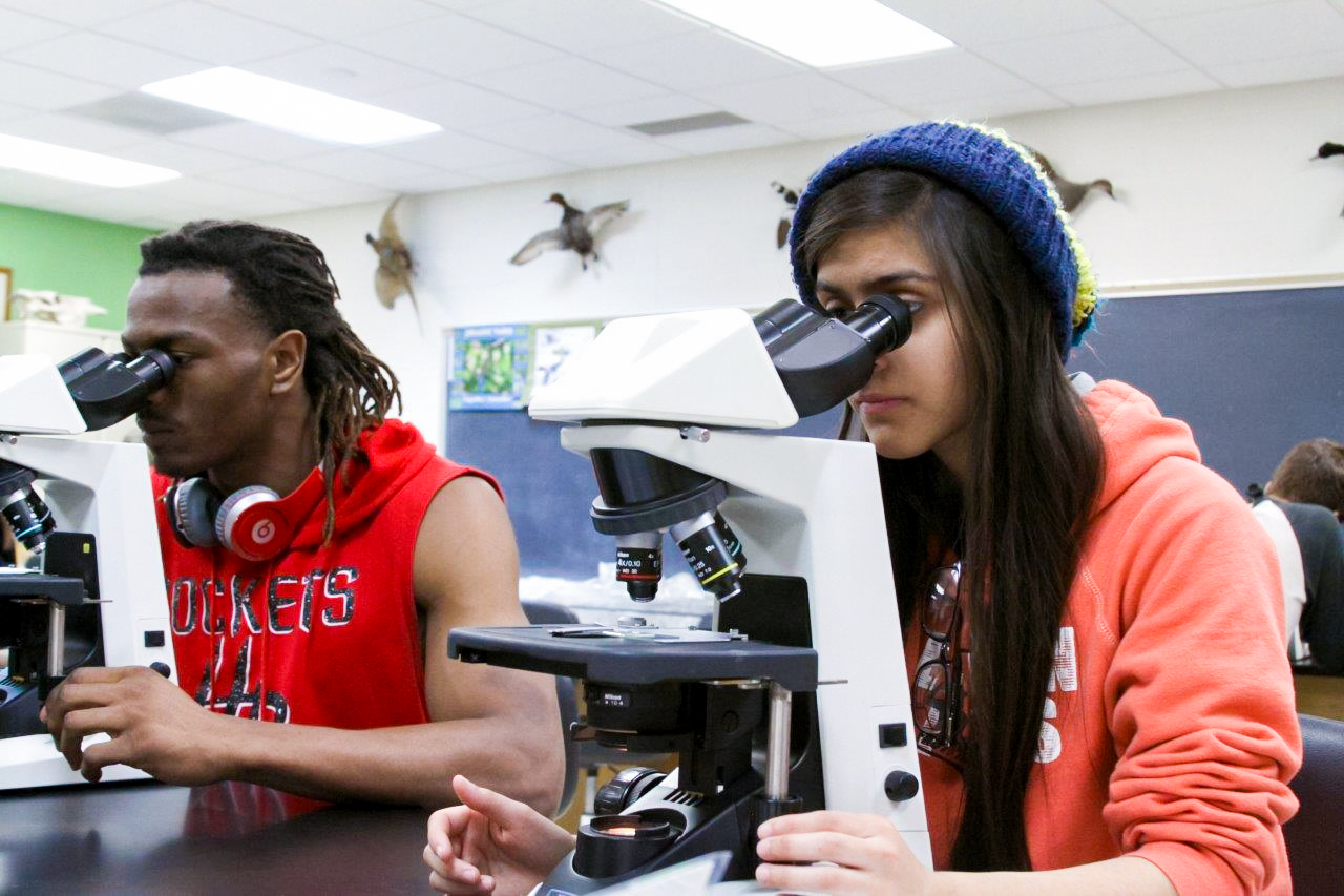 Environmental Science | M State