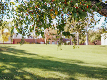 Fergus Falls Campus | M State