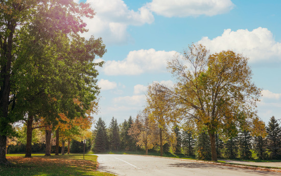 Fergus Falls Campus | M State